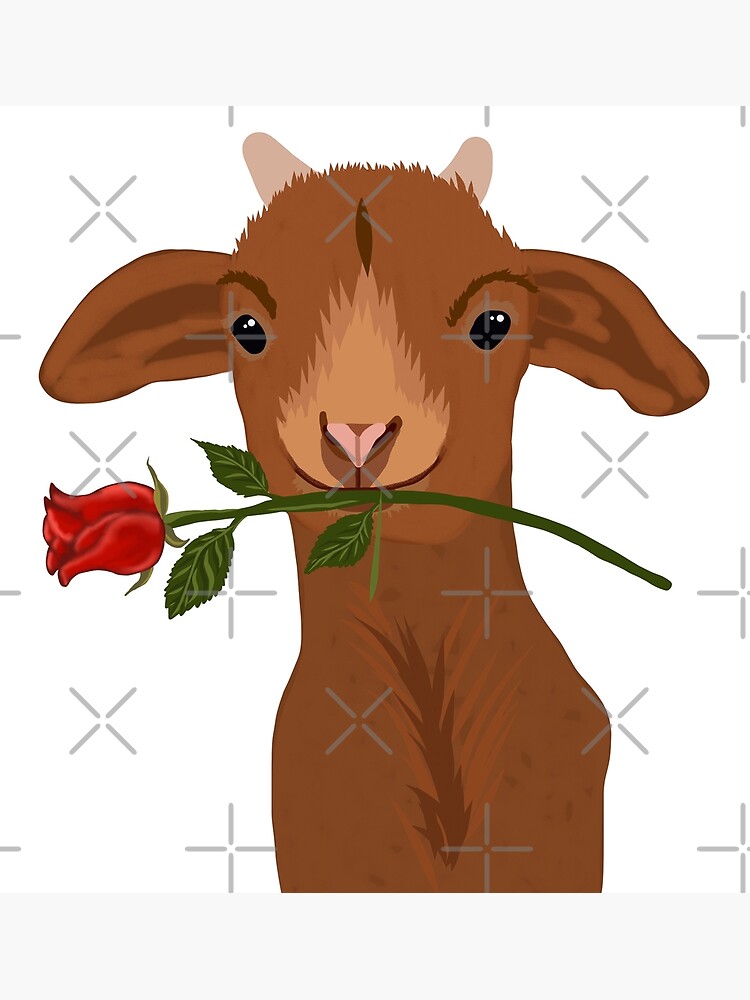 "Cute baby goat holding a rose" Poster by artmakerdesigns | Redbubble