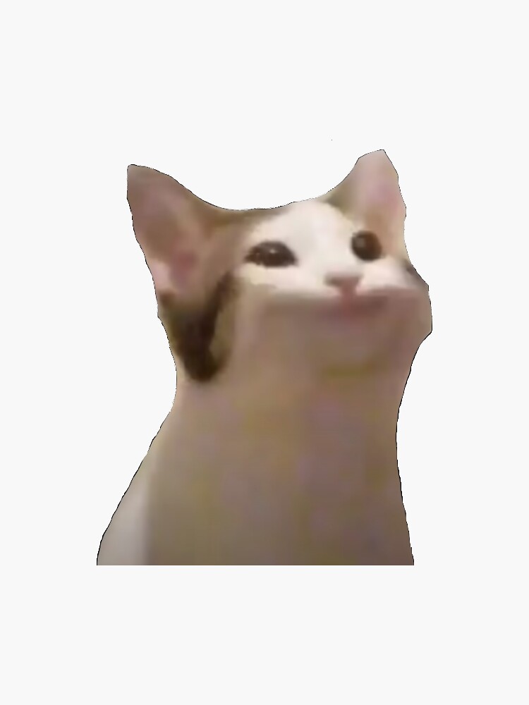 "popping cat meme" Sticker by cutedesignzz | Redbubble