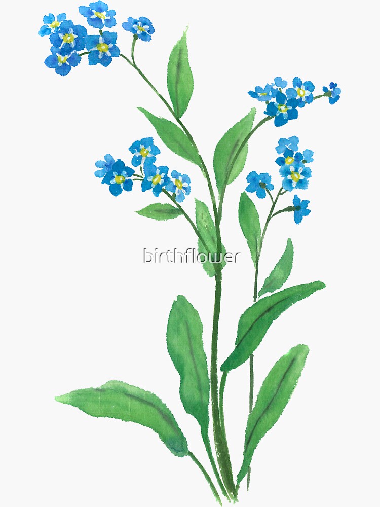 February 7th Birthday Flower Sticker For Sale By Birthflower Redbubble february-7th-birthday-flower-sticker-for-sale-by-birthflower-redbubble