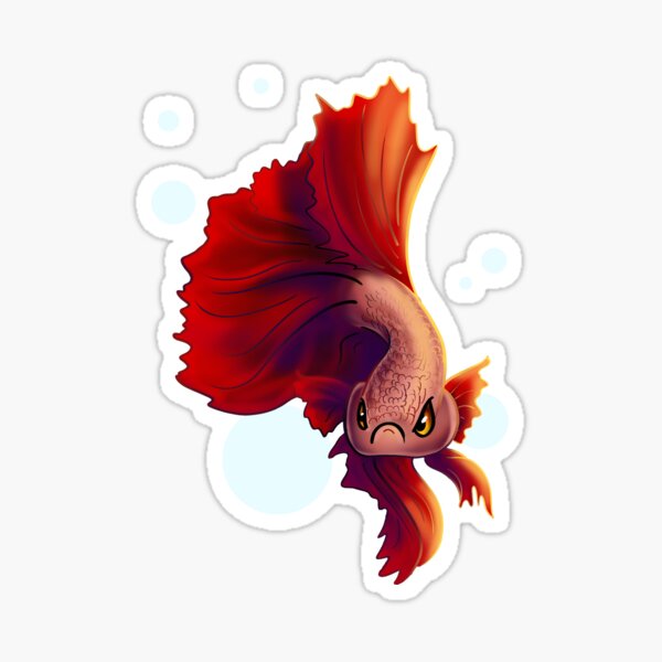 "Angry Betta Fish" Sticker for Sale by Unicornarama | Redbubble
