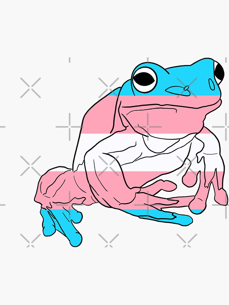 "Trans Frog :)" Sticker for Sale by art-as-academia | Redbubble