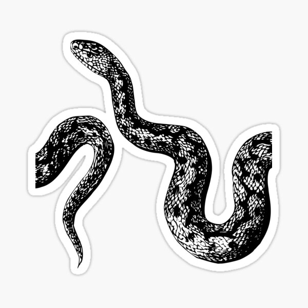 "Snake venom art shirt design" Sticker by zohaibaslam52 | Redbubble