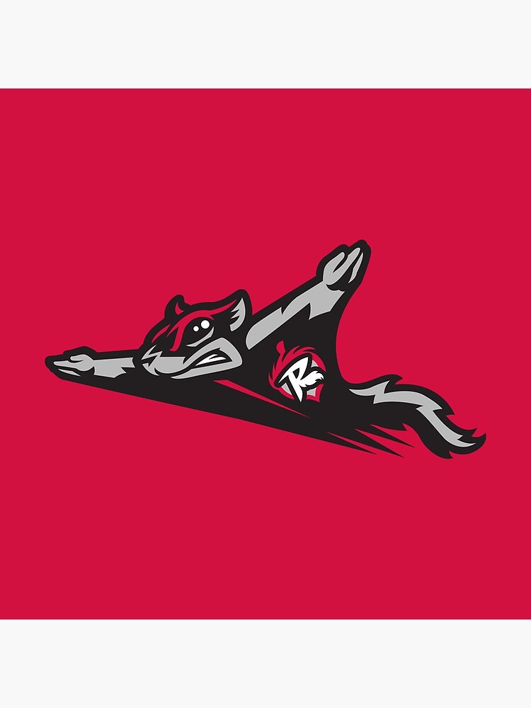 "The-Flying-Squirrels" Poster by PausonShop | Redbubble