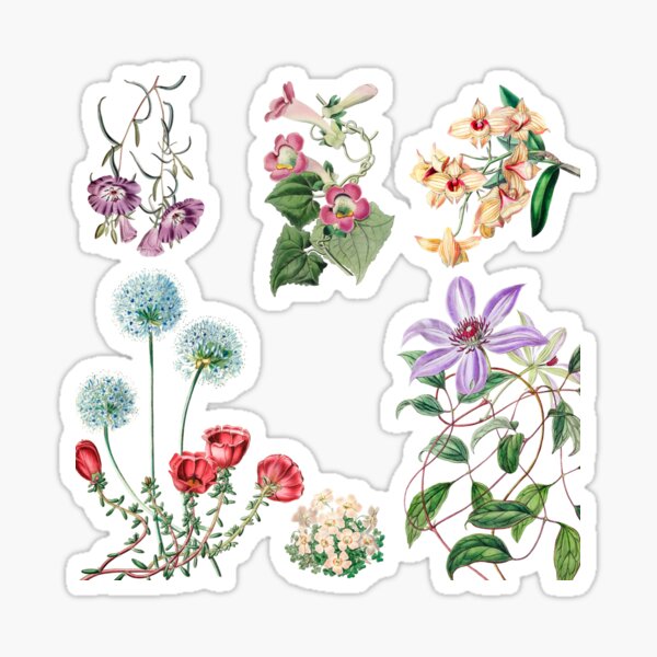 "Pattern of flowers" Sticker by Callingsun | Redbubble