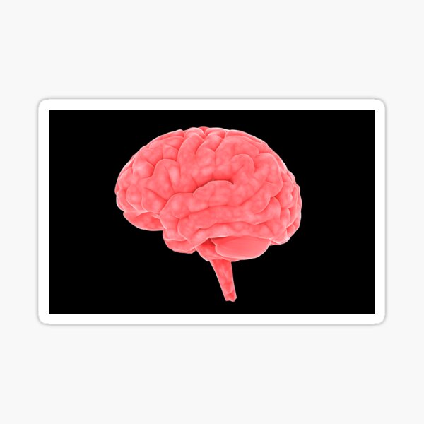 "Conceptual image of human brain." Sticker for Sale by StocktrekImages ...