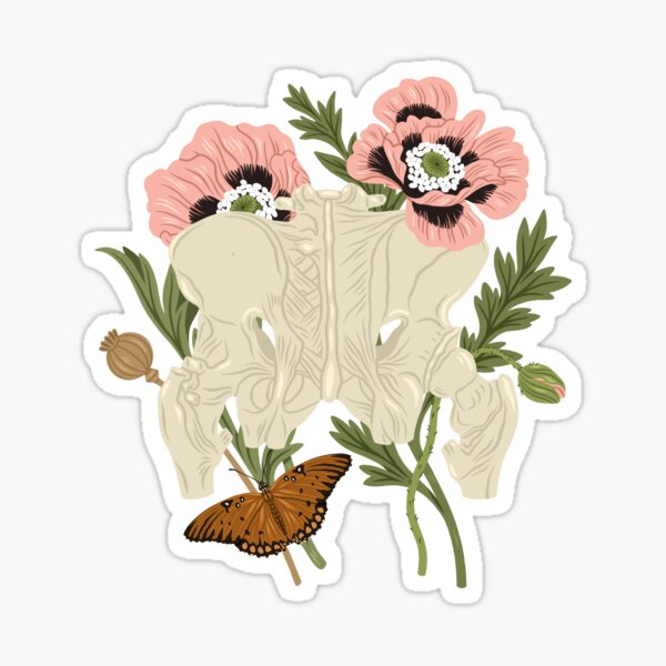 "Pelvis and Poppies " Sticker for Sale by RachelKay | Redbubble
