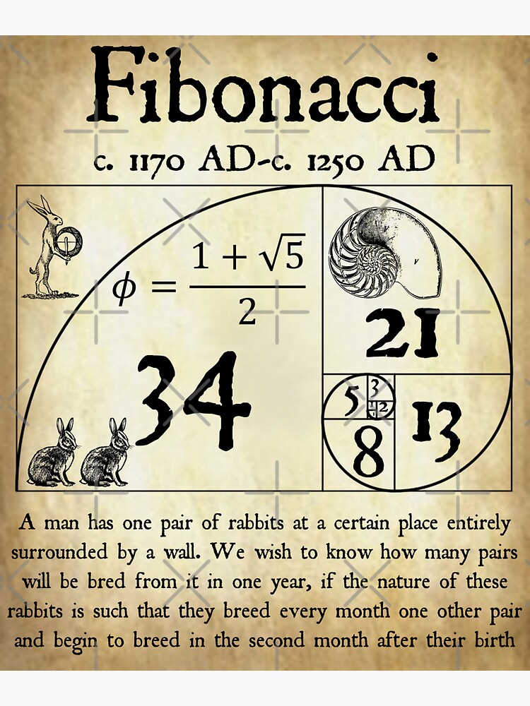 "Fibonacci Quote Rabbits Golden Spiral Vintage Math Design on Parchment ...