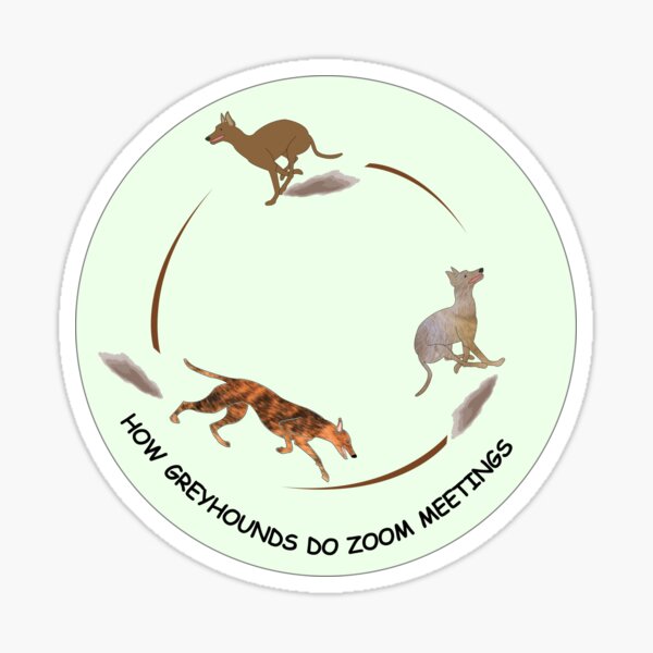 "Zoom Meeting" Sticker by SpitfireLew | Redbubble