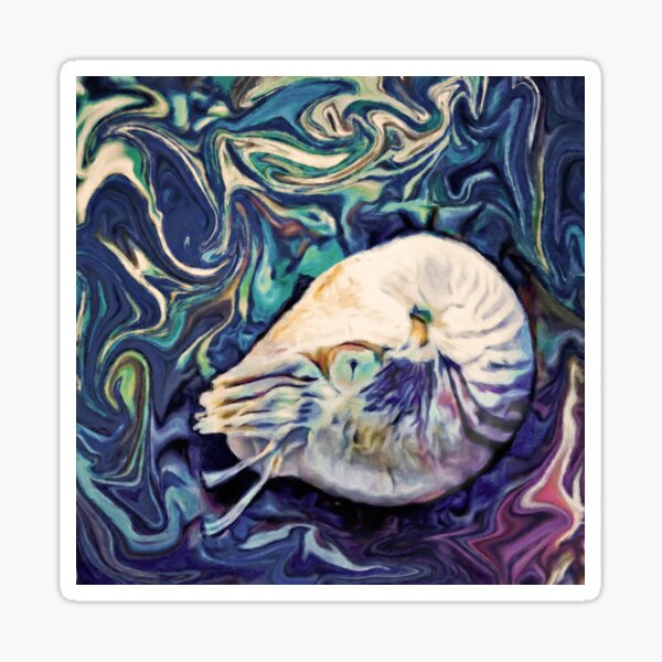 "Nautilus Blue" Sticker for Sale by SMSFineArt | Redbubble