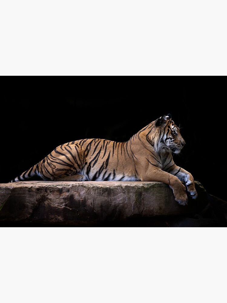 "Indrah" Sticker by DavidWP | Redbubble