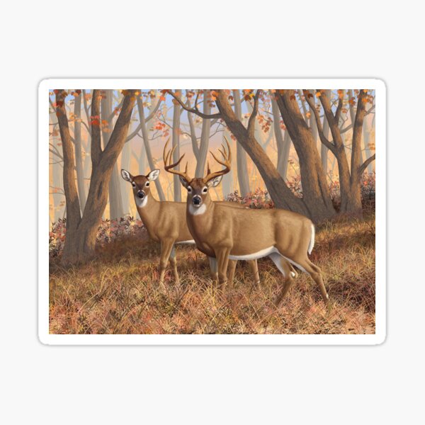 "Whitetail Deer Monster Buck and Doe" Sticker for Sale by csforest ...