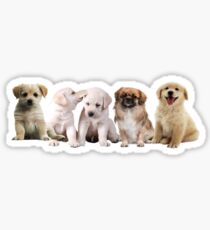 Dog: Stickers | Redbubble