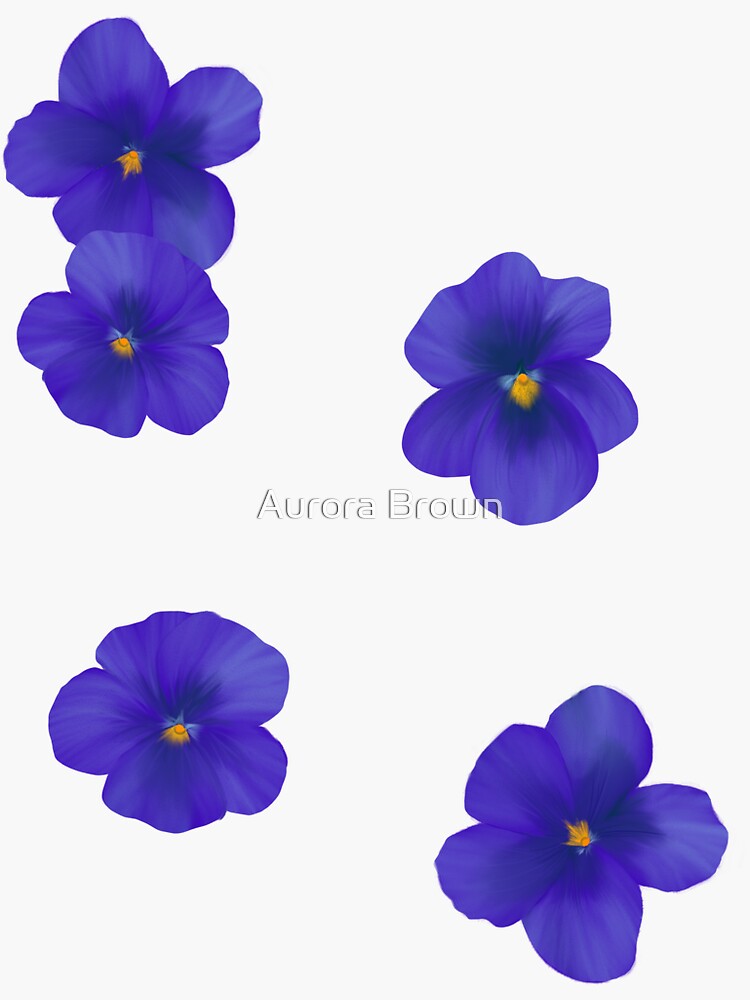 "Violets - Set of Magnets or Stickers" Sticker by aurorabrown | Redbubble