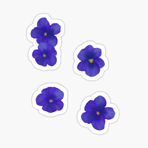"Violets - Set of Magnets or Stickers" Sticker by aurorabrown | Redbubble