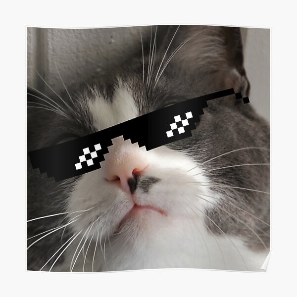 "Cat with shades- Cool Meme" Poster for Sale by Anxatzi | Redbubble