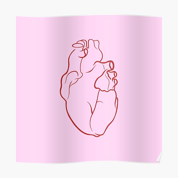 "Valentine’s Day anatomical heart" Poster for Sale by Holailustra ...