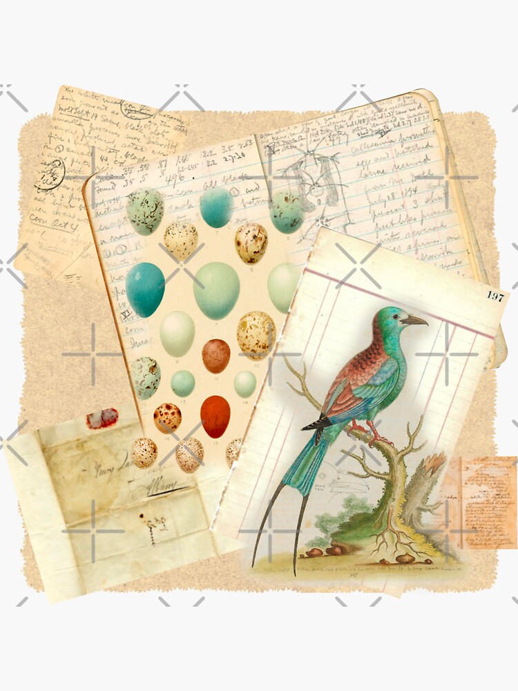 " Science Academia Aesthetic - Blue Bird Collage" Sticker for Sale by ...