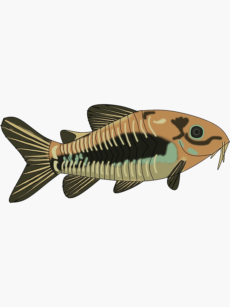 "cory catfish" Sticker for Sale by dylan-ryan | Redbubble