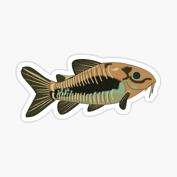 "cory catfish" Sticker for Sale by dylan-ryan | Redbubble