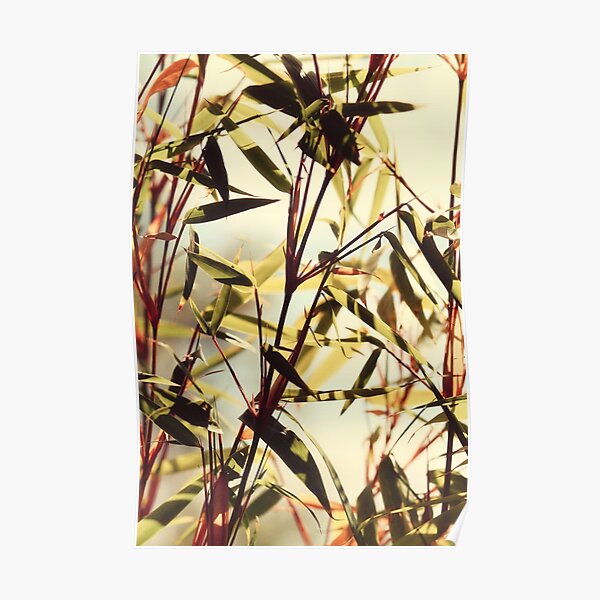 "Backlit Bamboo Vintage Edit" Poster by karens224 | Redbubble