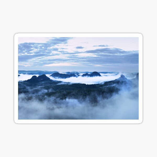 "Foggy Forest Window" Sticker by ArtRoute02 | Redbubble