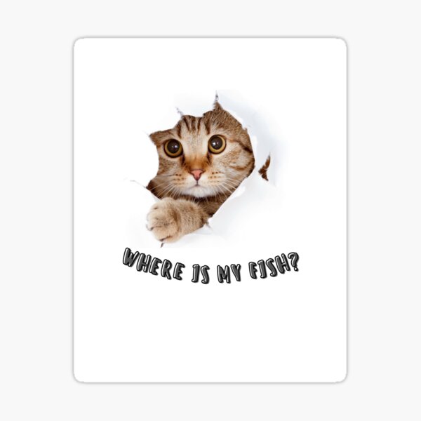 "Where is my fish? T-shirts" Sticker for Sale by Zykcoin | Redbubble