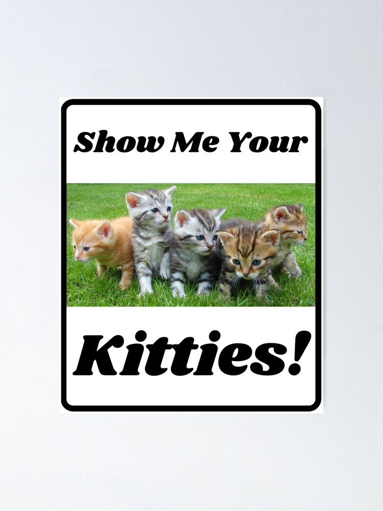 "Show Me Your Kitties! Adorable Kittens, Cute Cats" Poster for Sale by ...
