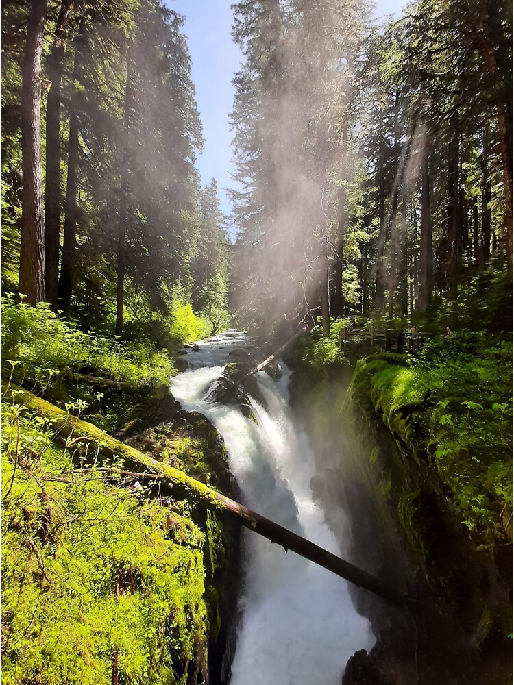 "Sol Duc Falls" Sticker for Sale by WebbDesignCo | Redbubble
