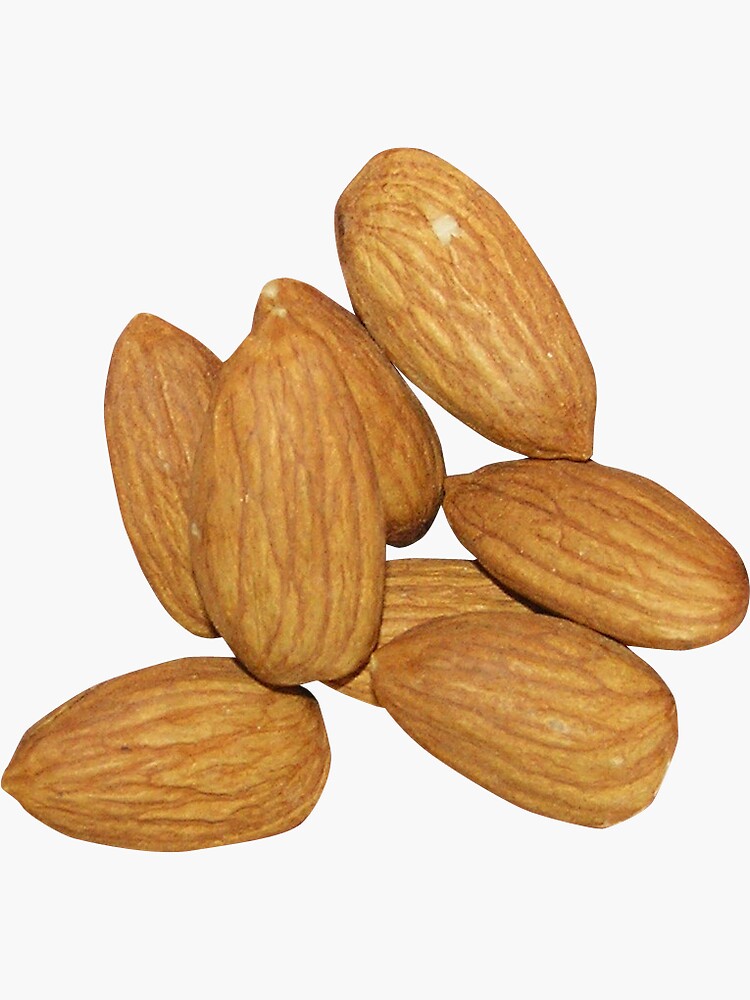 "almonds" Sticker for Sale by cloudingnine | Redbubble