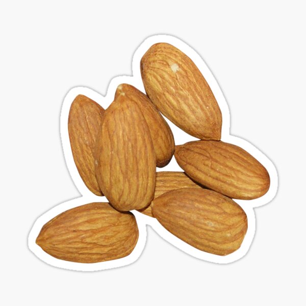 "almonds" Sticker for Sale by cloudingnine | Redbubble