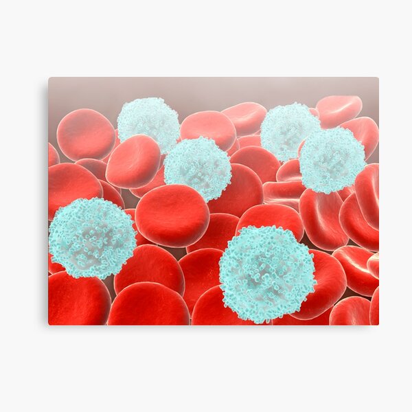 "Red blood cells with white blood cells." Canvas Print for Sale by ...