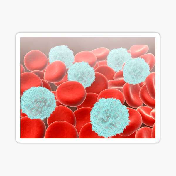 "Red blood cells with white blood cells." Sticker for Sale by ...