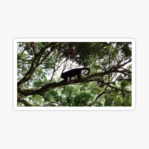 "Howler Monkey" Sticker for Sale by DigitalDesigns1 | Redbubble