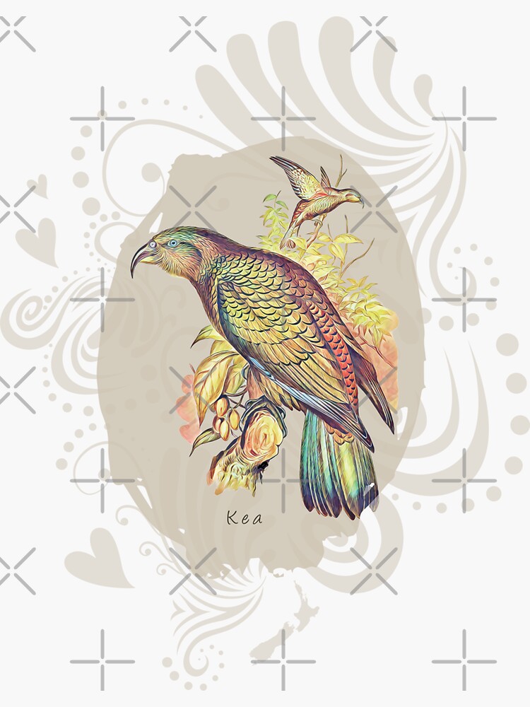 "New Zealand Kea with Swirls and Hearts " Sticker for Sale by ...