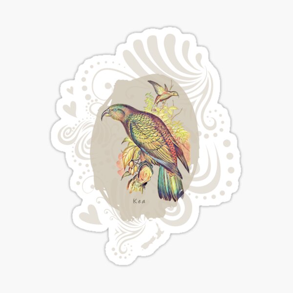 "New Zealand Kea with Swirls and Hearts " Sticker for Sale by ...