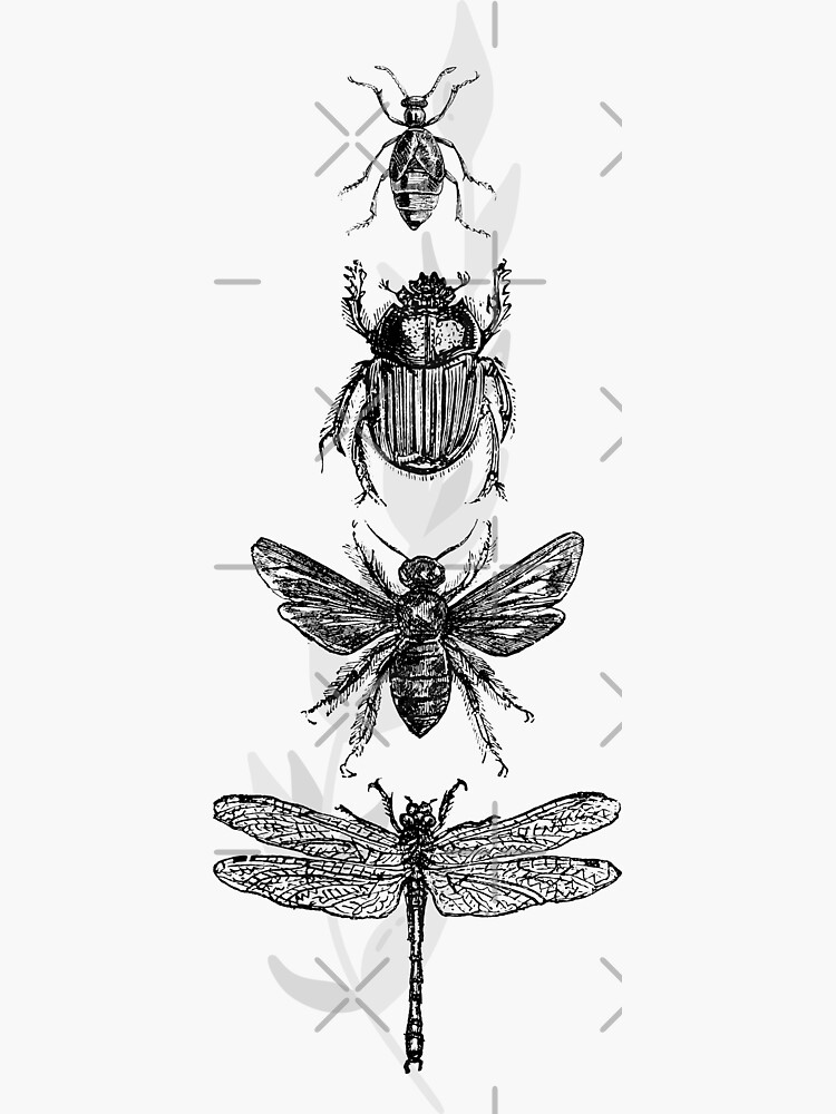 "Insect Pyramid" Sticker by Harrostyle | Redbubble