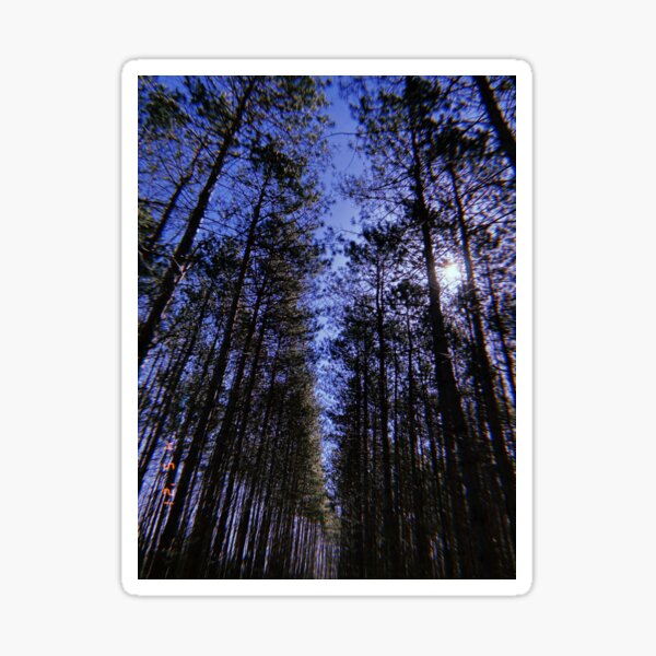 "Moving forward" Sticker by Leiatriesart | Redbubble