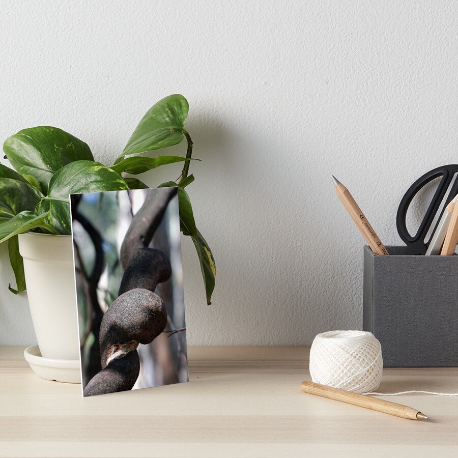 "Strangler Fig" Art Board Print for Sale by TimJKeegan | Redbubble