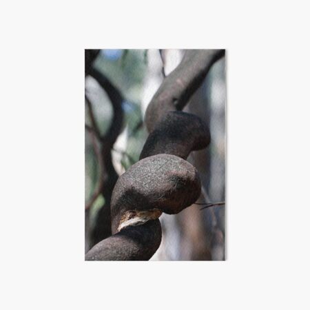 "Strangler Fig" Art Board Print for Sale by TimJKeegan | Redbubble