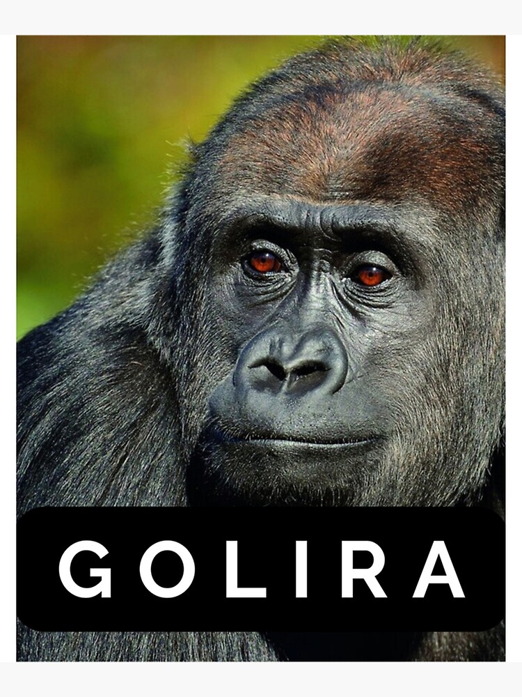 "golira " Poster for Sale by BondieClarke | Redbubble