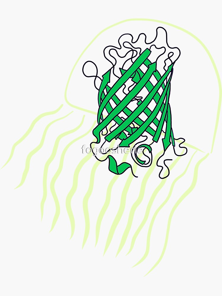 "GFP and Jellyfish" Sticker for Sale by fogoosherie | Redbubble