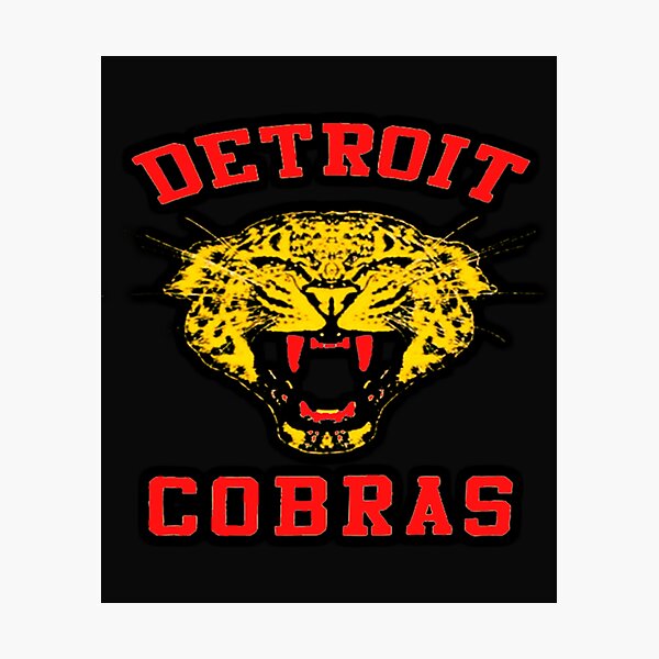 Lámina fotográfica «Los Detroit Cobras son una banda estadounidense de ...