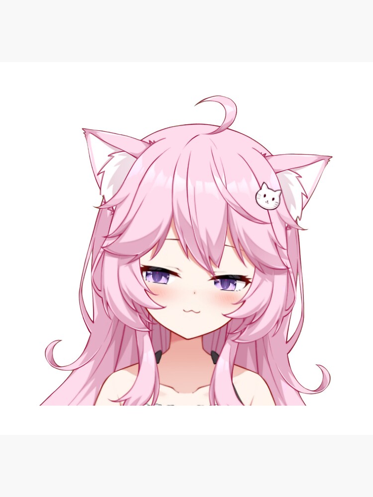 "Silvervale stickers and shirts" Poster for Sale by seyf-smp | Redbubble