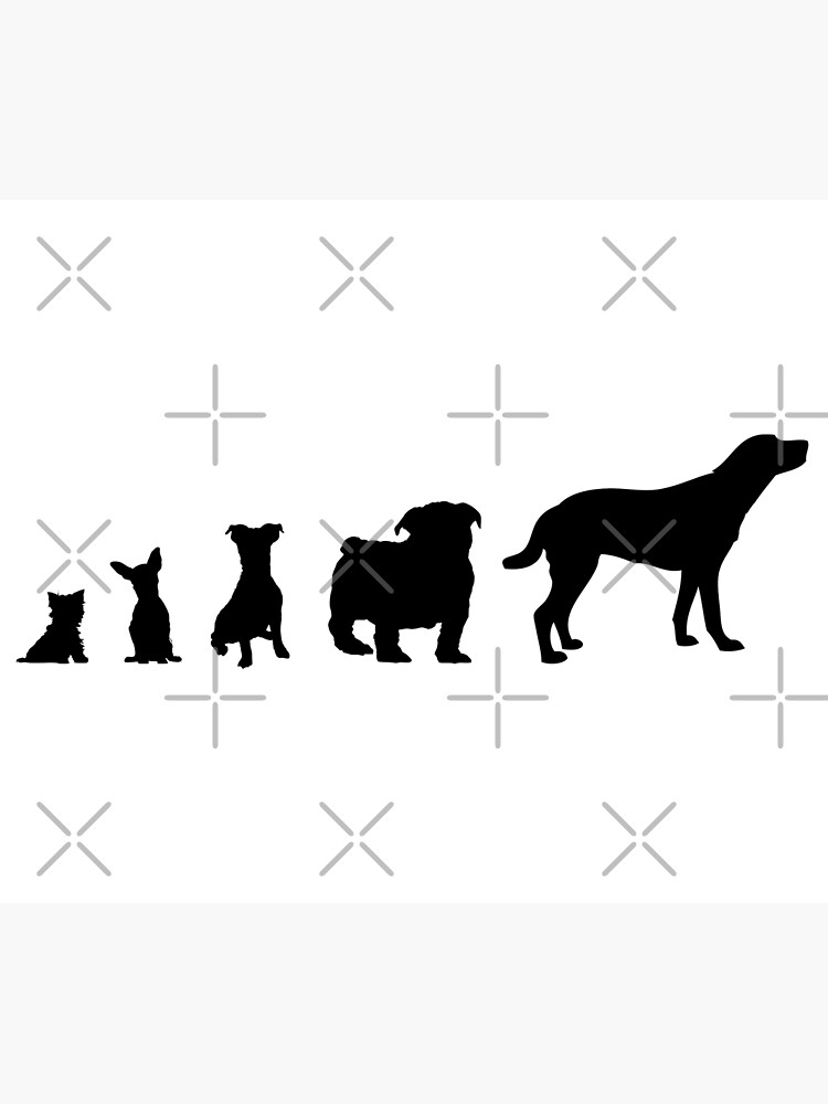 "Theory of Labrador Evolution" Poster for Sale by fivo | Redbubble