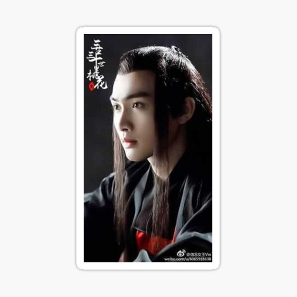 "zhang bin bin" Sticker by TOMTOMANDJOY | Redbubble