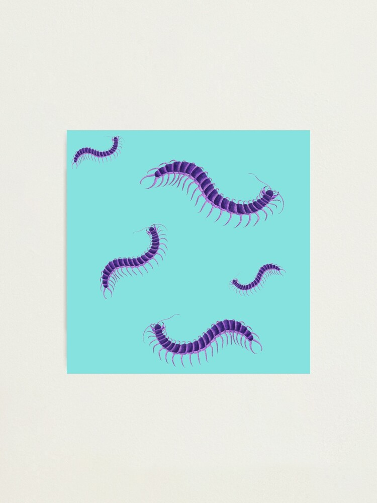 "Tiled pattern Violet Purple Centipede on Aqua Turquoise Blue Green ...