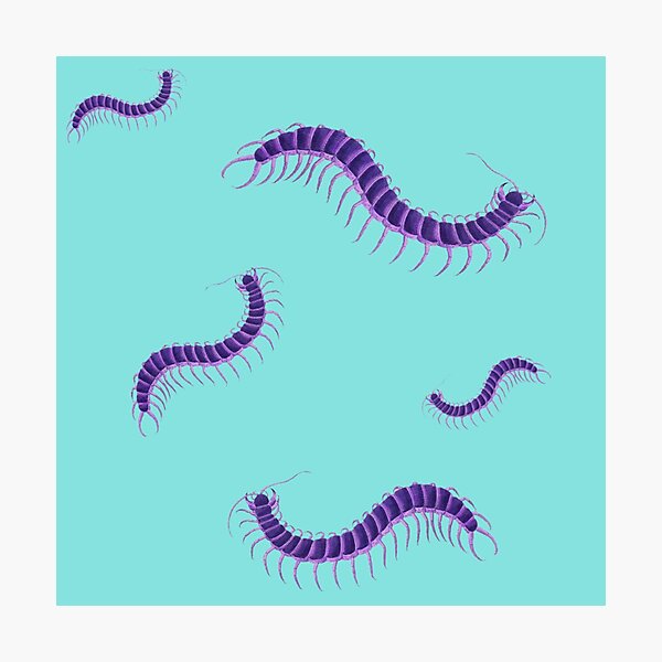 "Tiled pattern Violet Purple Centipede on Aqua Turquoise Blue Green ...