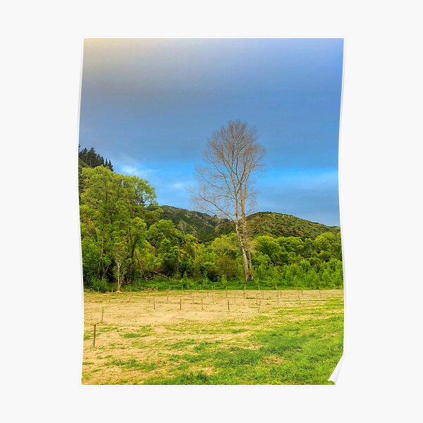 "Green Silverstream Reserve" Poster by urbanfragments | Redbubble