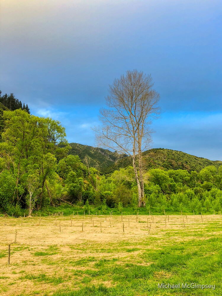 "Green Silverstream Reserve" Sticker by urbanfragments | Redbubble