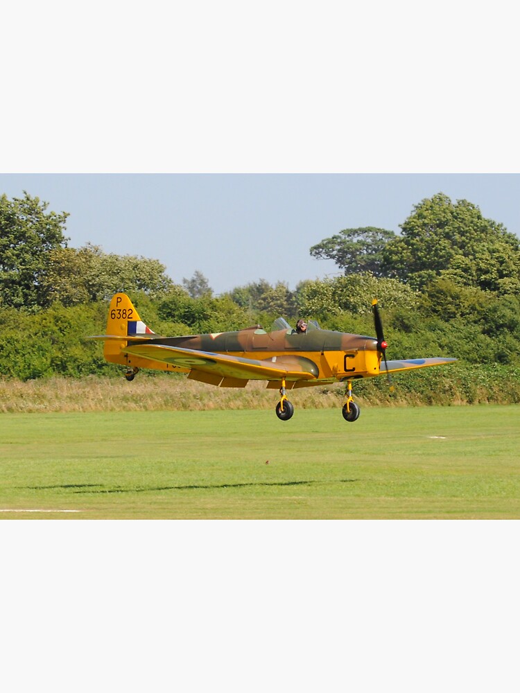 "Maggie Come Home" Sticker by djcm1 | Redbubble